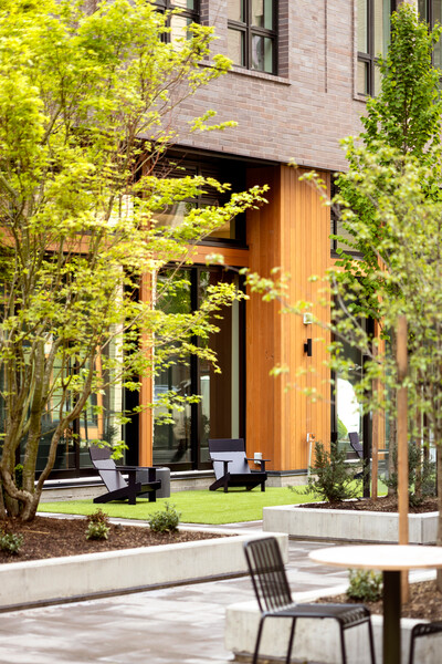 Saltwood | Prometheus