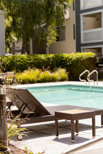 Timberleaf | Prometheus