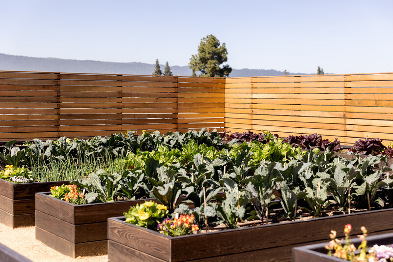 The Tillery | Prometheus